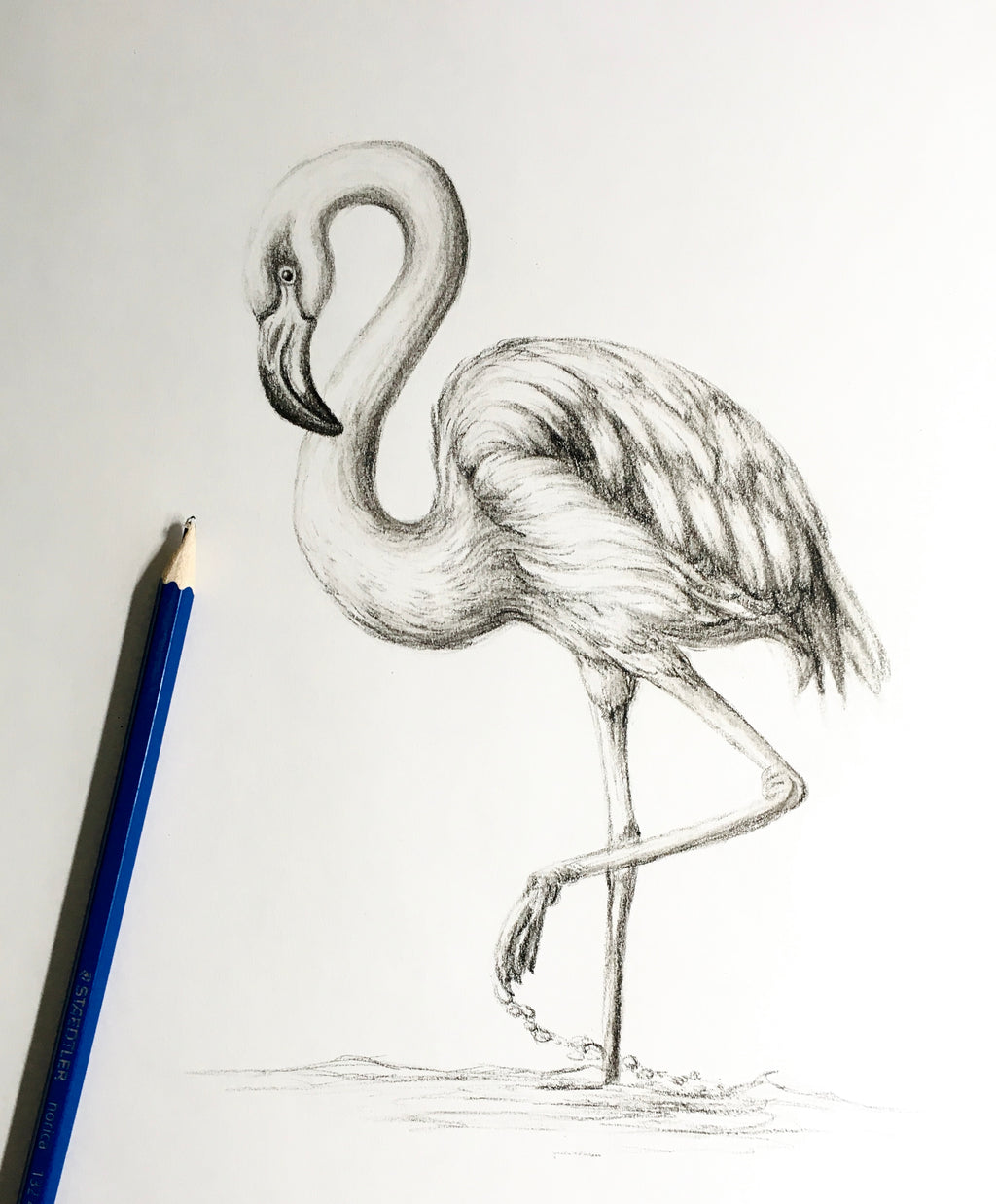 Flamingo FREE event - Drawing | 22 January 2026 @ 12:00pm EST – Artists ...