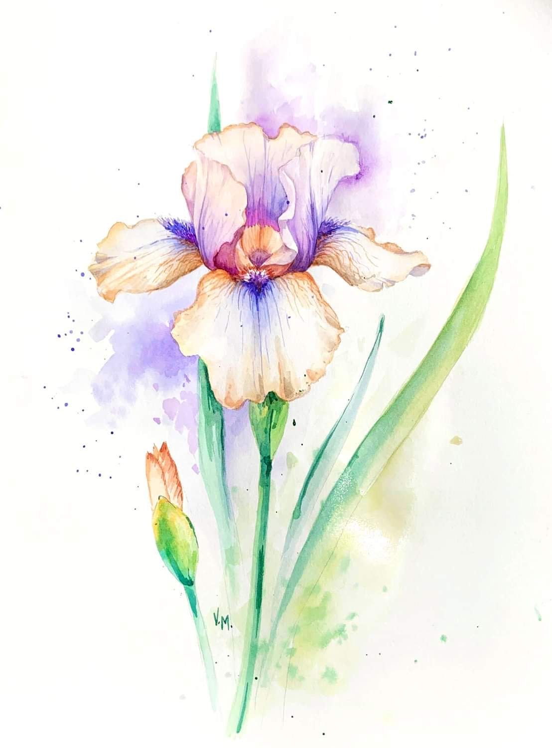 Iris Splash - Watercolour | Instructor: Vera – Artists Palette Durham