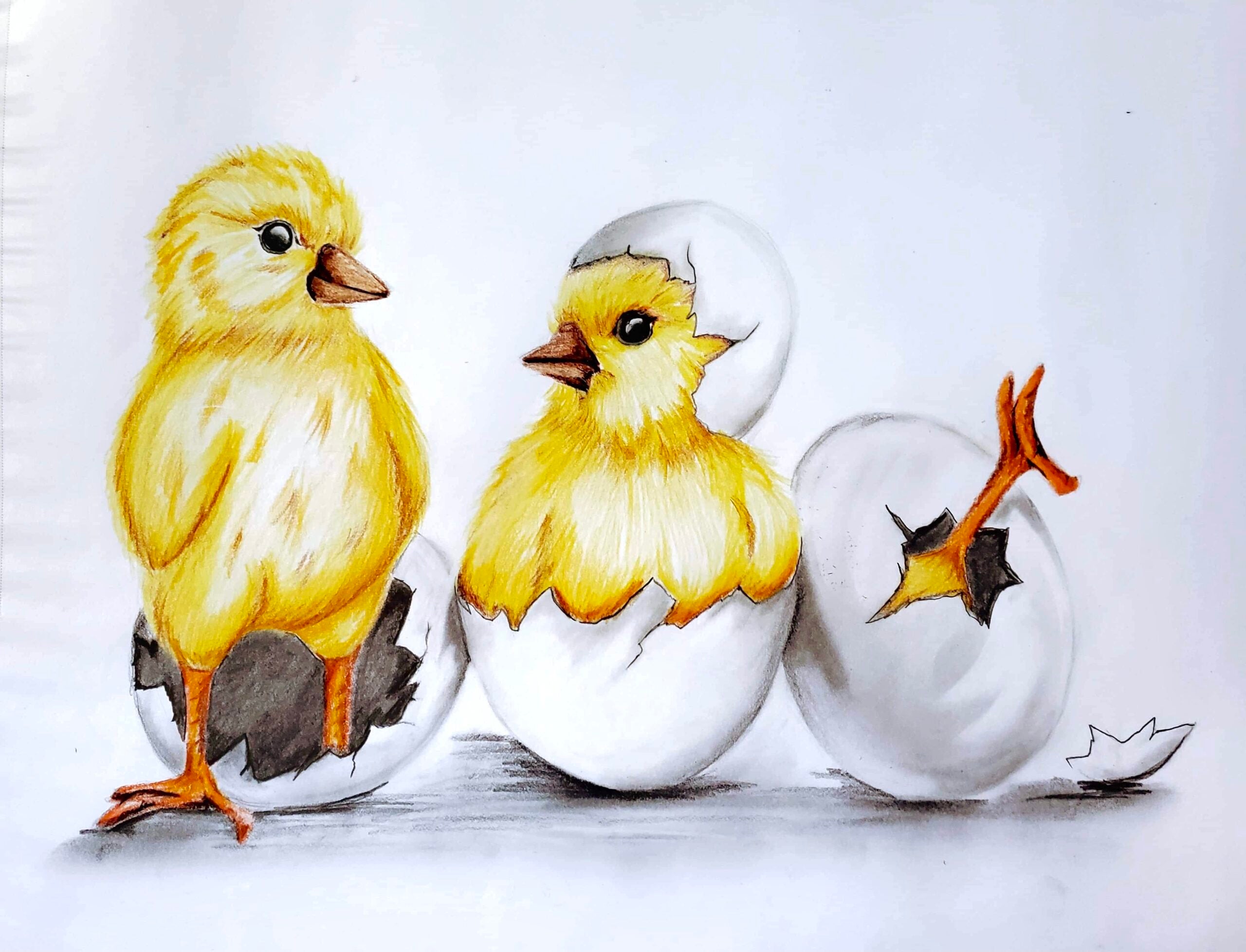 Check Out These Chicks - Drawing | Instructor: Karin – Artists Palette ...