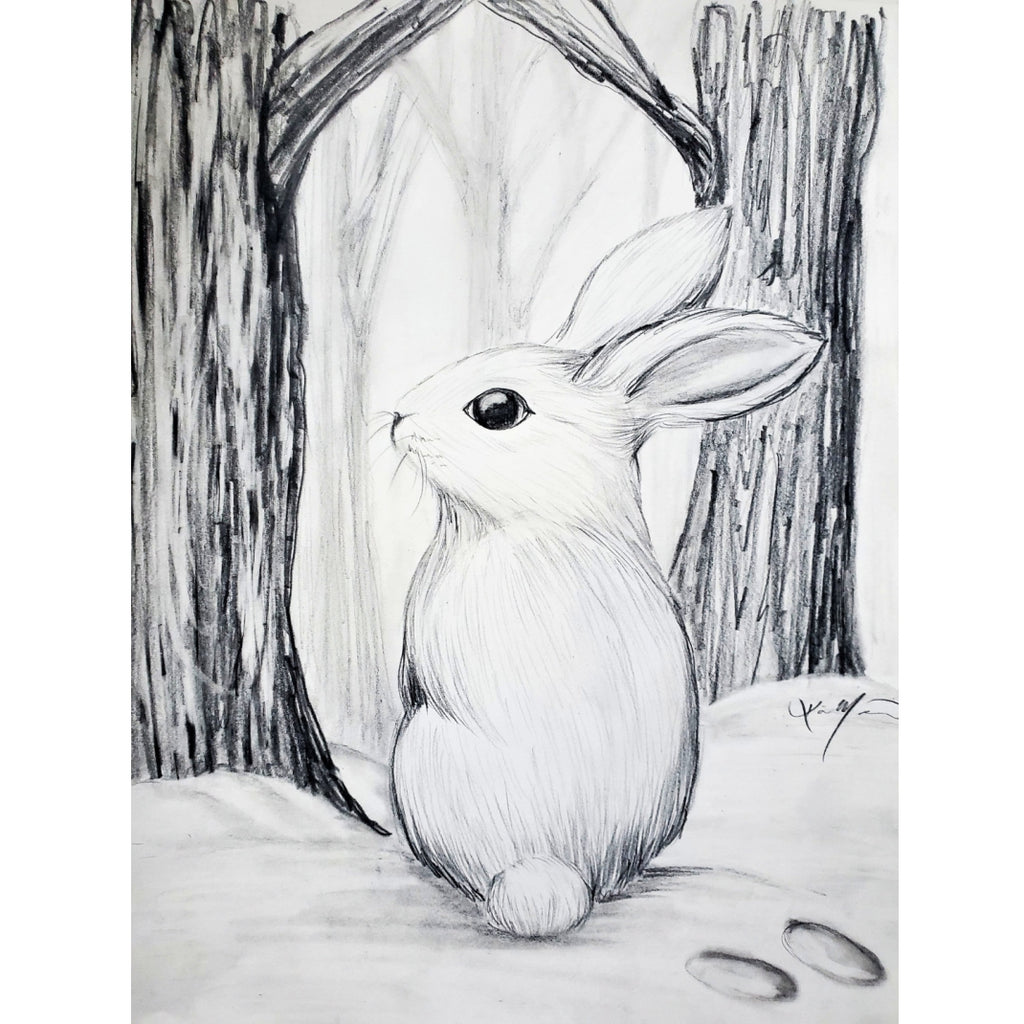 Winter Bunny - HB Pencil Drawing | Instructor: Karin – Artists Palette ...