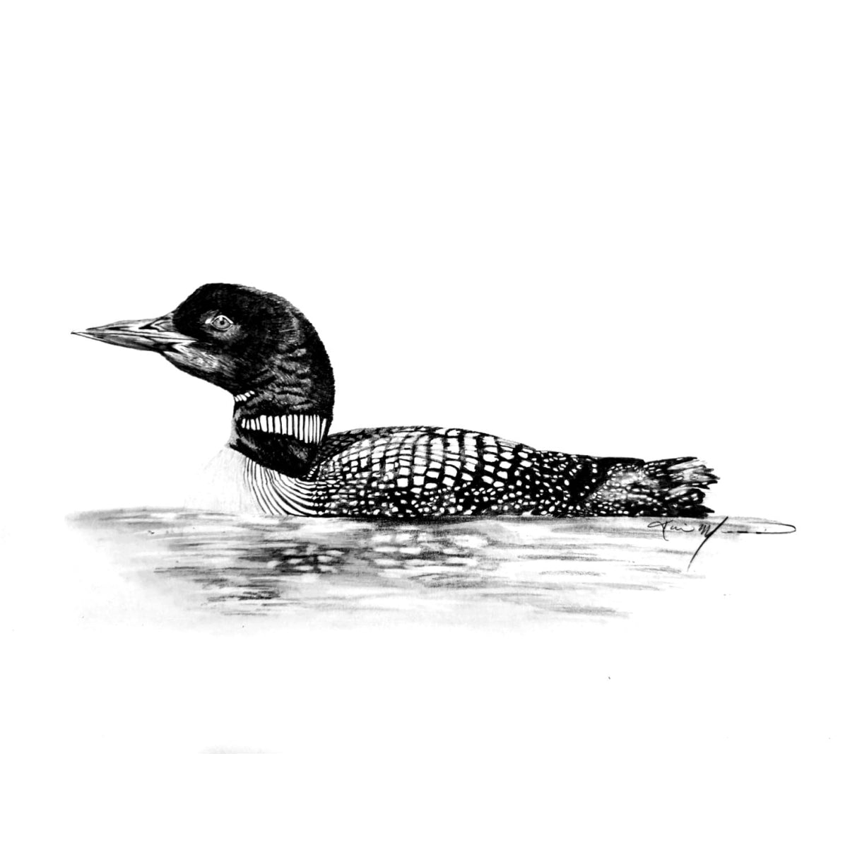 Loon - Drawing | Instructor: Karin – Artists Palette Durham